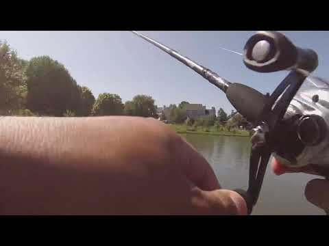 Working Class Zero new 6” Citizens Swimbait