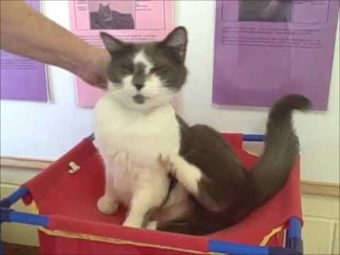 Carol -- Adopted!!