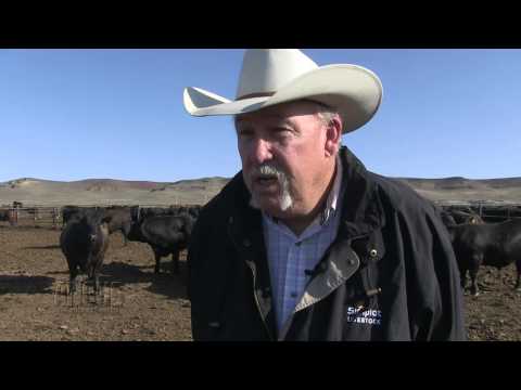 A Story of a Steak, Series 2, Part 4: Oct. 20, 2014