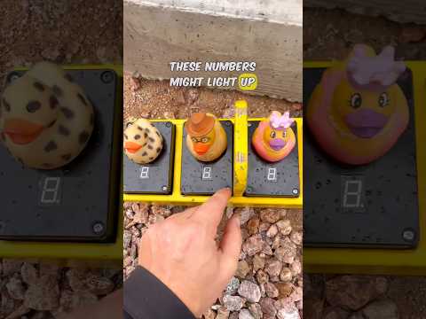 Could you figure out the code for this?! Best geocache EVER?! 🏆