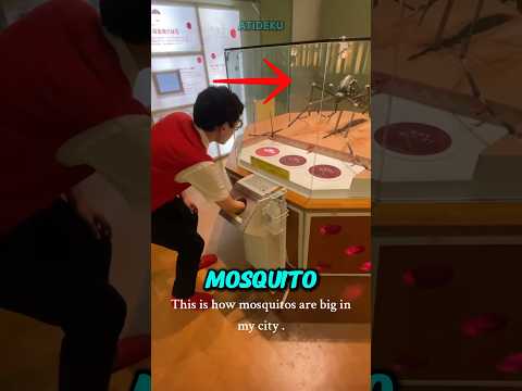 Surviving a Giant Mosquito Bite Simulation!