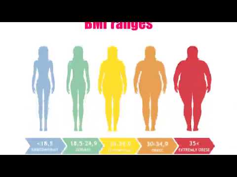 What is the ideal body weight
