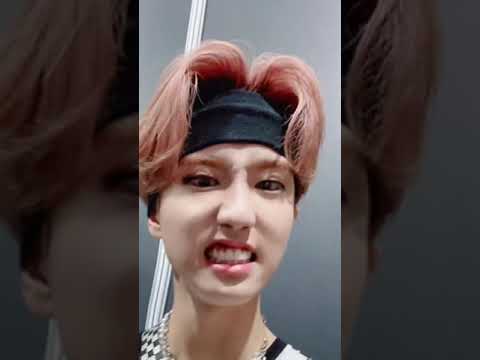 Han's tiktok is so cute and precious, oh god✨😩