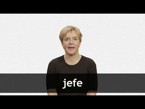 English Translation of “JEFE” | Collins Spanish-English Dictionary
