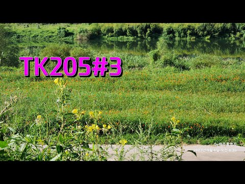 tk205#3 맨발걷기, 멀티테스터기 사용법 익히는 중~23.9.8 금