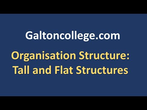 Organisation Structure: Tall and Flat Structures