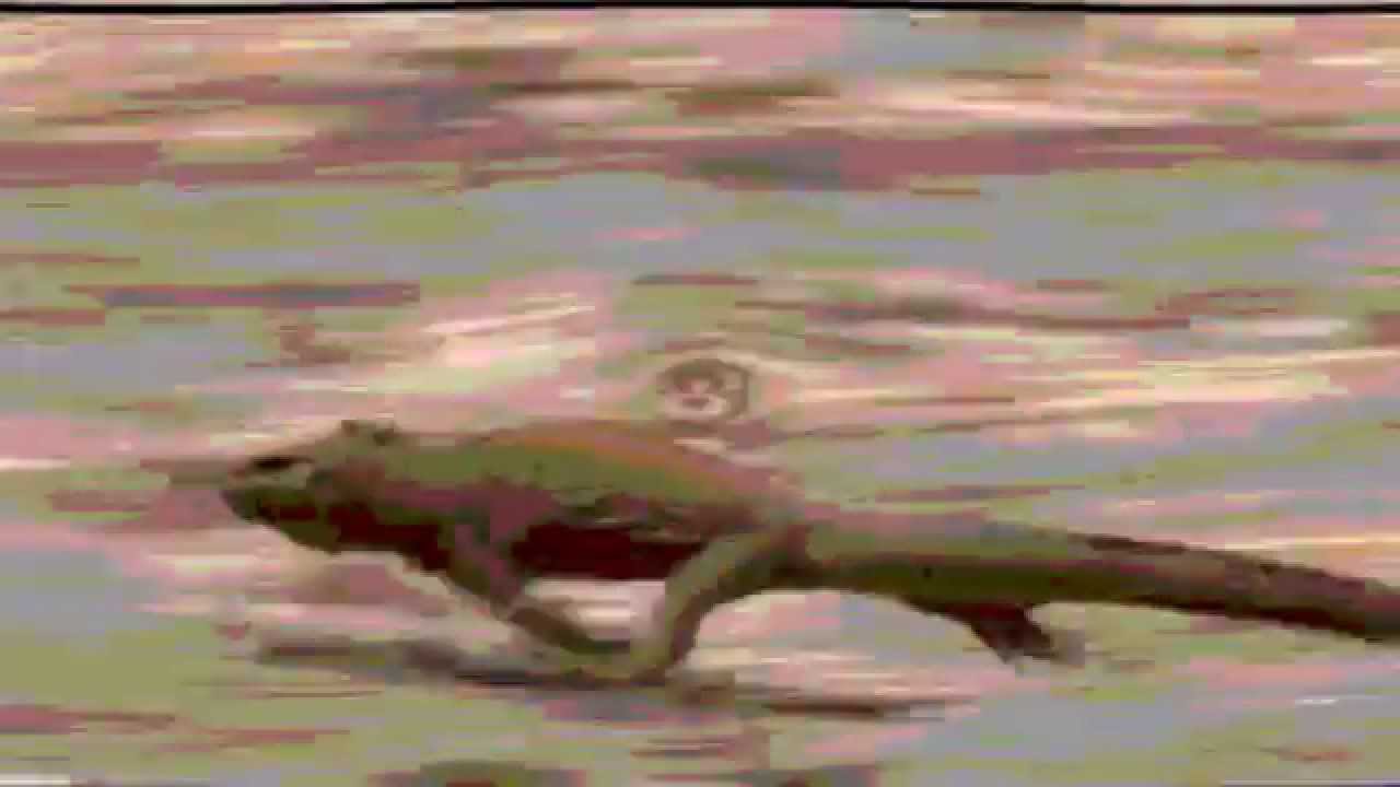 retarded running legendary creature
