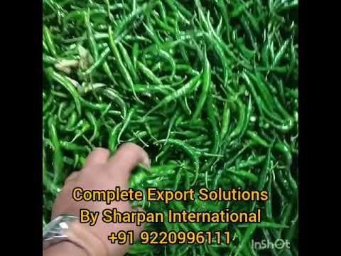Green Chilli Exporters from India