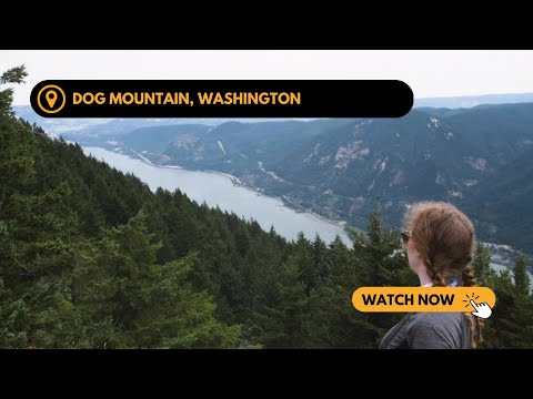 Things To Do In Carnation, WA To Enjoy A Simple Life