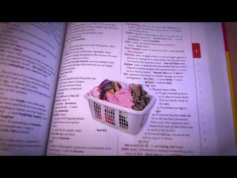 Scholastic Children's Dictionary Review
