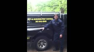 3 Best Pest Control Companies in Philadelphia, PA - Expert Recommendations