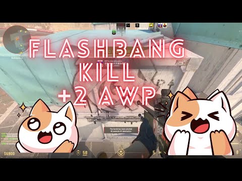 Steam Community :: Video :: nuko playing cs2 ! fun awp n flashbang ...