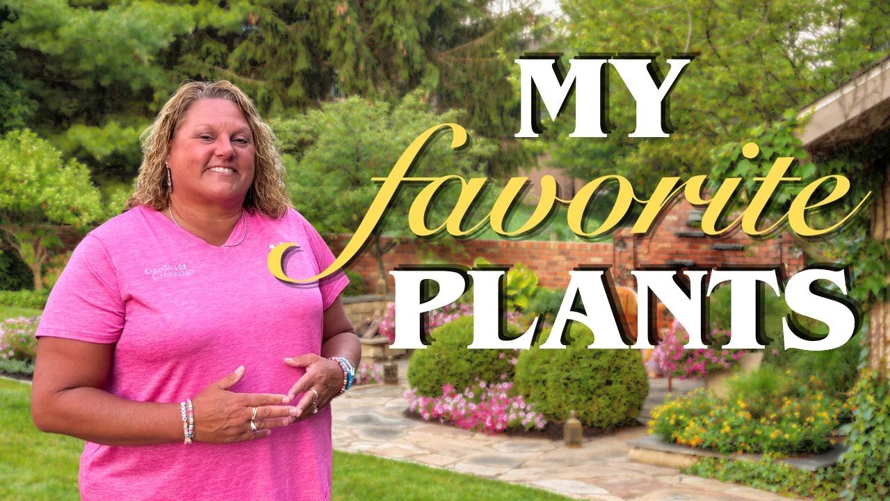 Heidi’s FAVORITE Plants✨Tried, Tested & Worth It