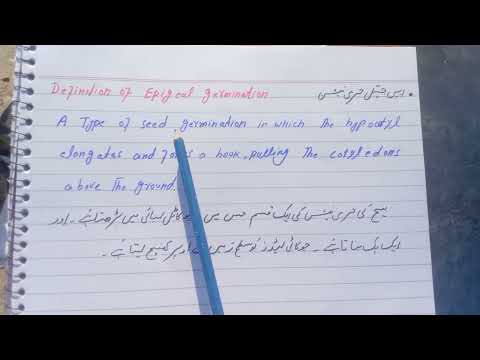 Epigel Germination In Urdu | what is Epigel Germination | Definition Epigel Germination