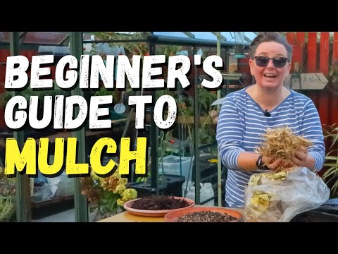 What is MULCH and why do it?