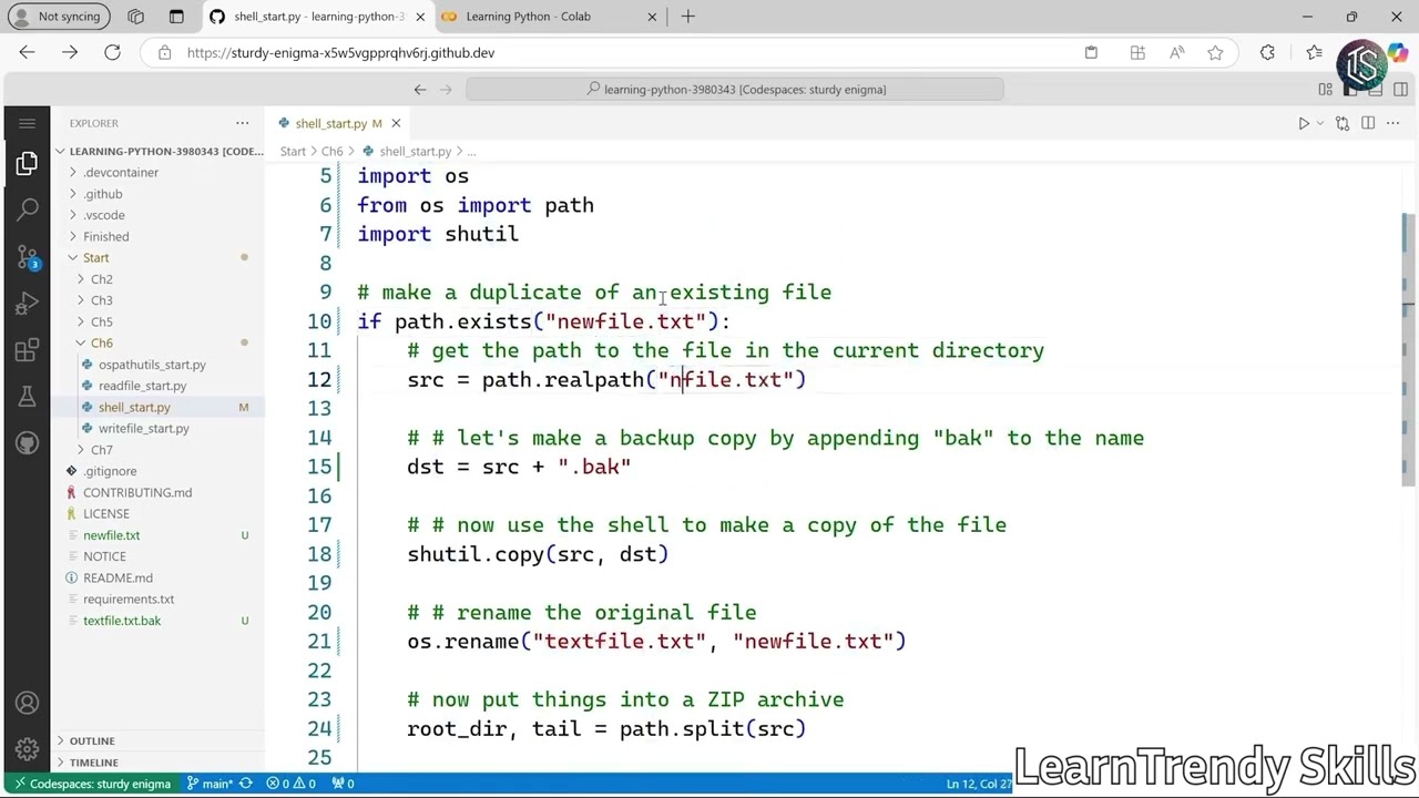 Python Using the Filesystem | File and Directory Management Tutorial for Beginners