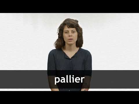 English Translation of “PALLIER” | Collins French-English Dictionary