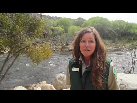 Voices of the Kern River: Tricia Maki