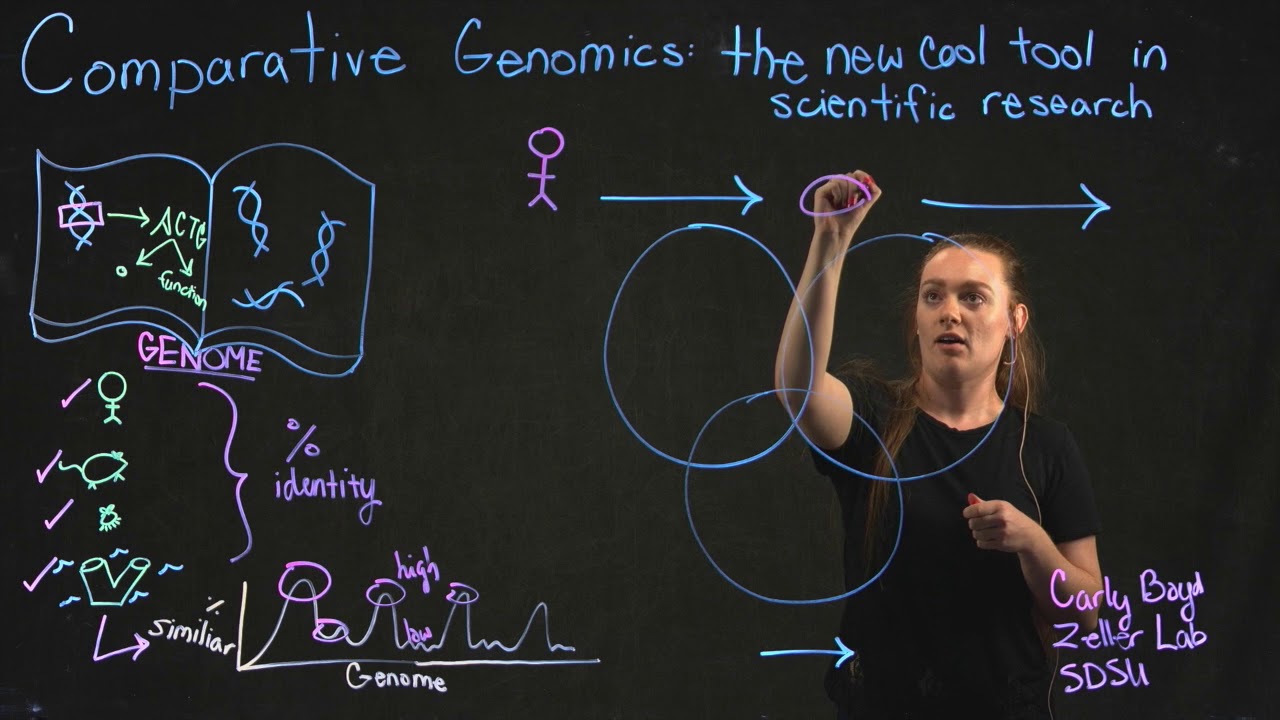 Comparative Genomics: The new cool tool in Scientific Research by Carly Boyd