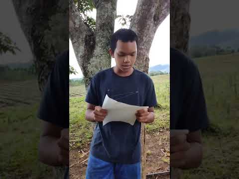English Short Persuasive Essay on Cyberbullying G10-Tiano