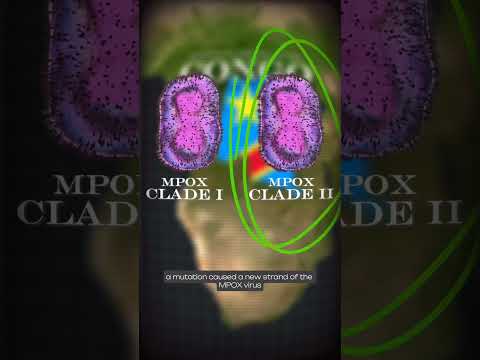 The Origin Of MPOX reviled