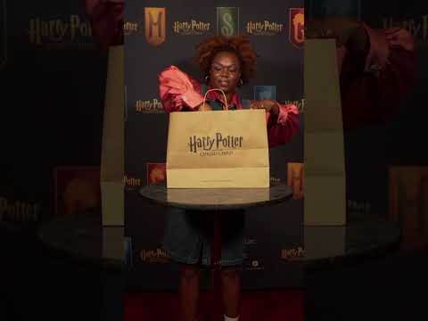 Harry Potter and the Cursed Child Broadway Merch