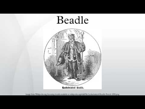 Beadle