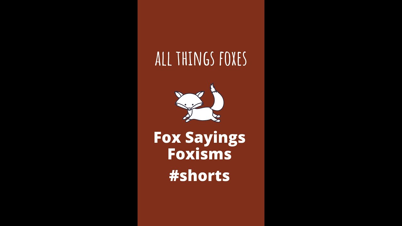 Fox Sayings | Foxisms #Shorts