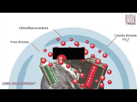 COUCHE D OZONE ET SES CONSEQUENCES EN FRANÇAIS ANIMATIONS POUR APPRENDRE