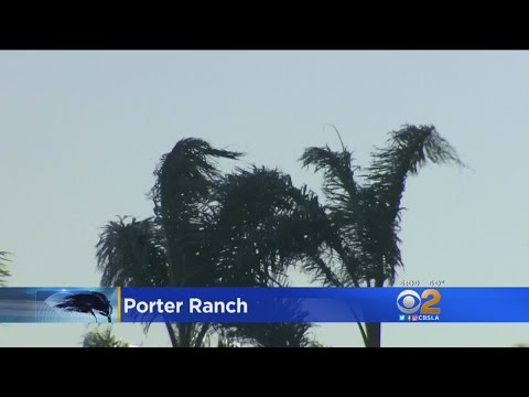 Gusty Winds Batter Southland