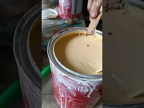 cream/asian paint
