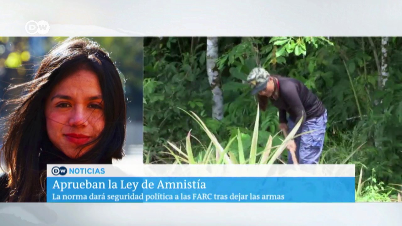 Congreso colombiano aprobó ley de amnistía para guerrilla de las FARC