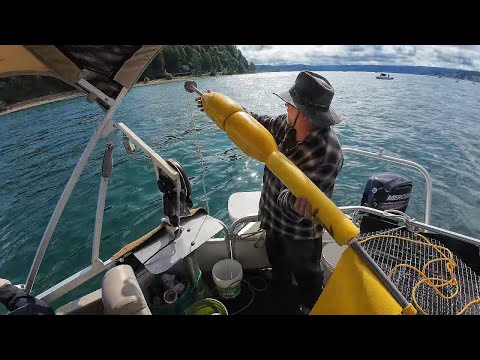 Shrimping on Hood Canal June 18, 2025 part 1
