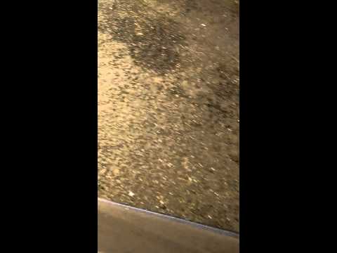 Chitwood truck noise