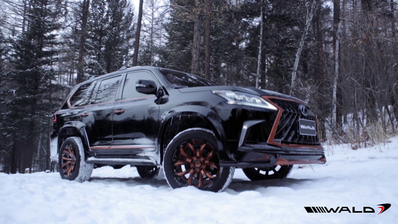 Lx570-Wald Black bison