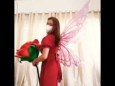Fairy Wings