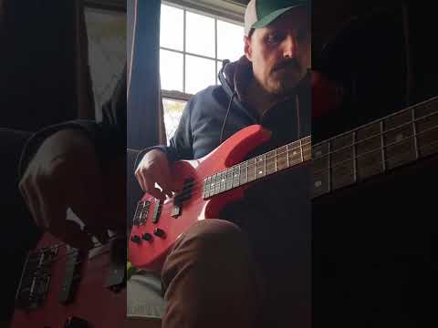 Chicago Musical Instruments CMI short scale PJ bass vintage | Reverb