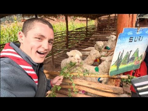 Peru Adventure Vlog Part 1 | Cusco