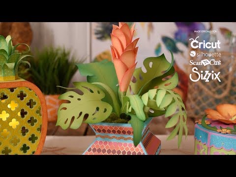 Tropical Vibes SVG Bundle - Official Trailer!