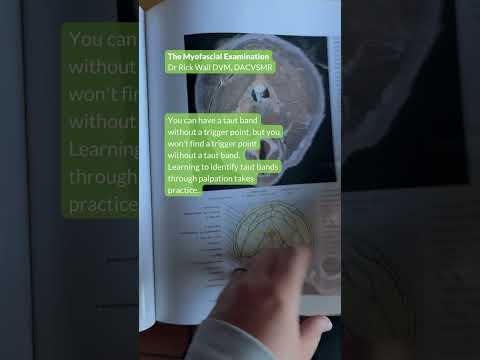 The Myofascial Examination, Dr Rick Wall, DVM, DACVSMR