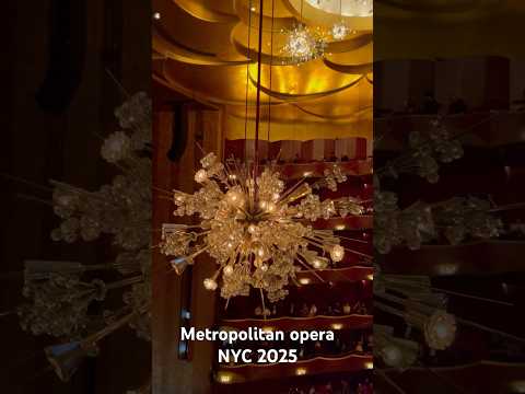 Magic theater in the Metropolitan Opera ,NYC. #shorts #nyc #nyc #metropolitan #opera#performance