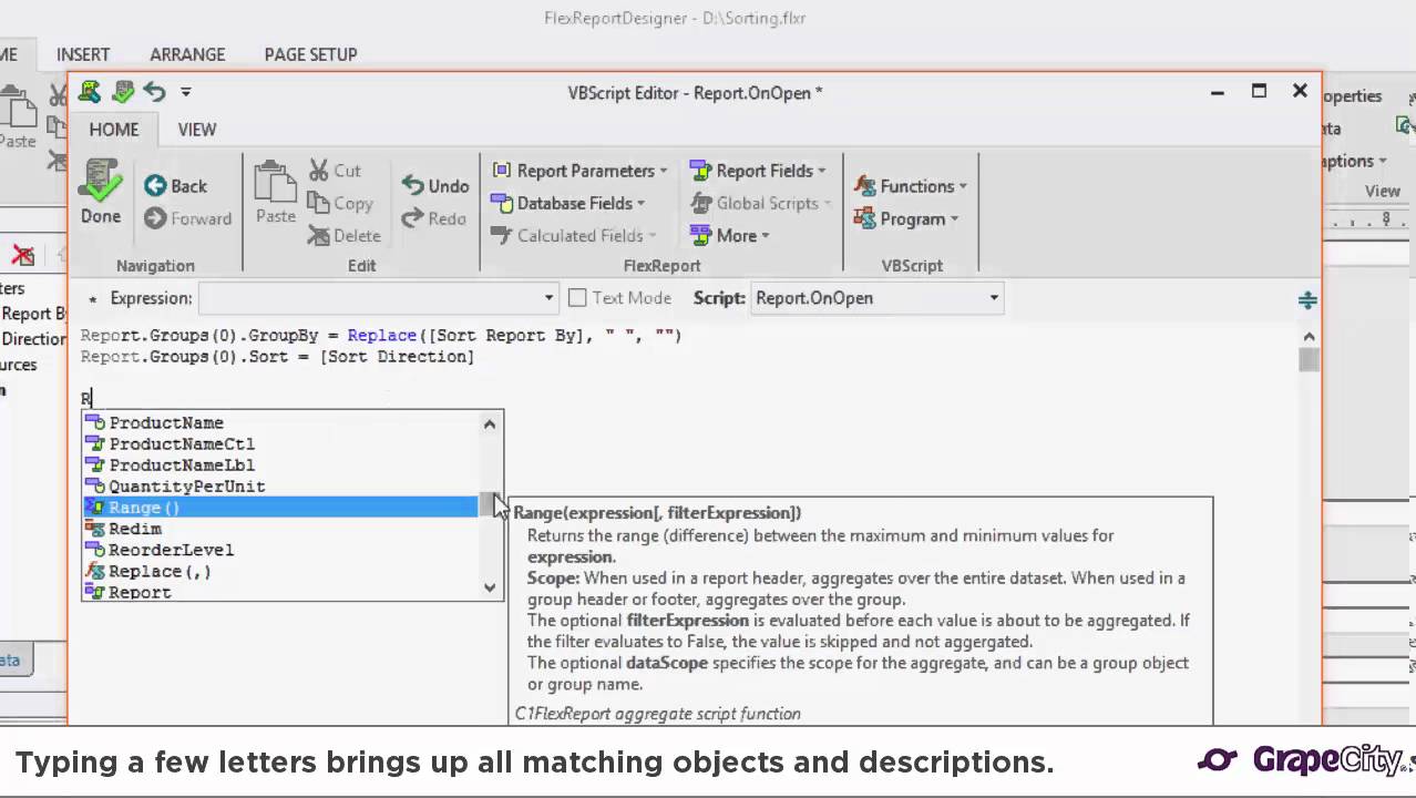 FlexReport Intellisense