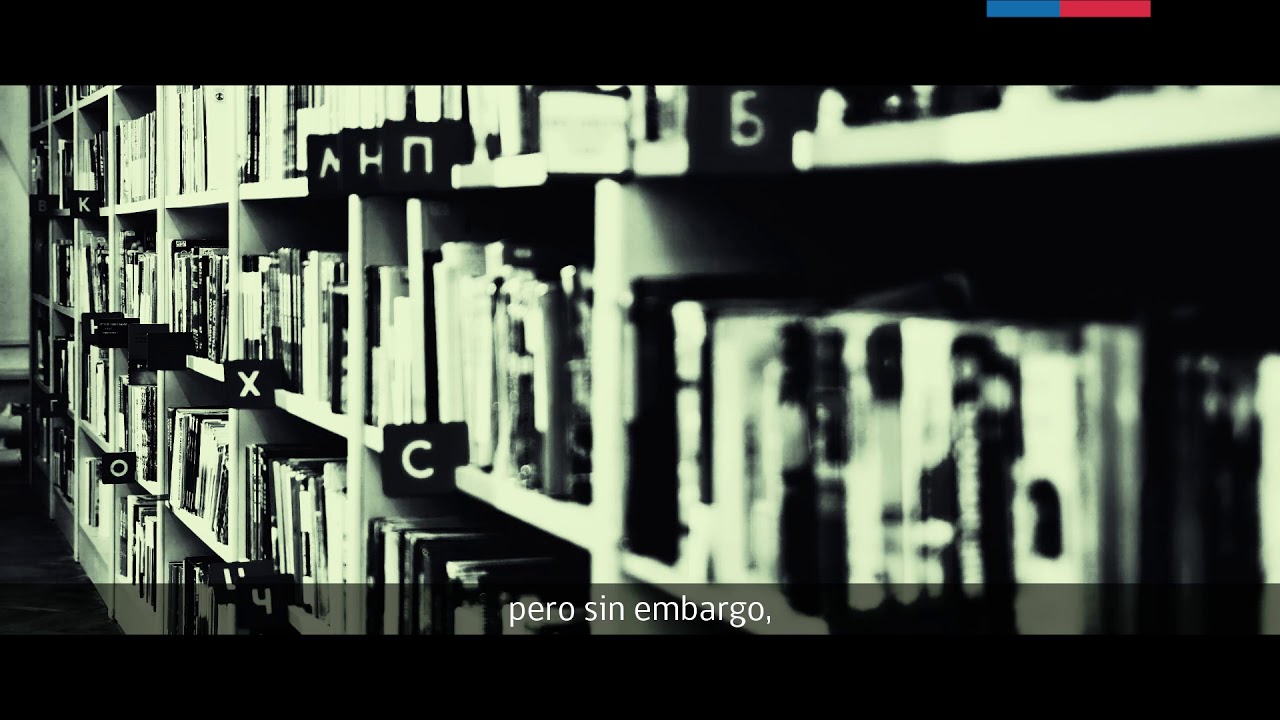 Bibliometro 24 años
