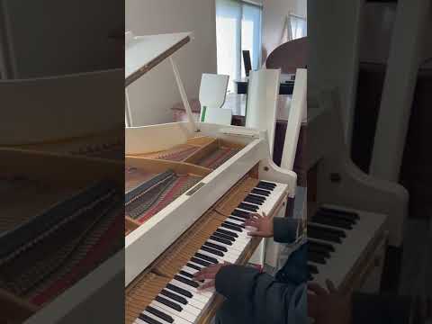 Just Bought A Zimmerman Baby Grand Piano