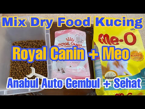 Mix Dry Food Kucing | Royal Canin Kitten + Meo Kitten Persian | Anabul Auto Gembul Dan Sehat