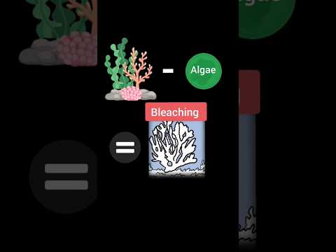 Coral Reef Explained 🌟 #upsc