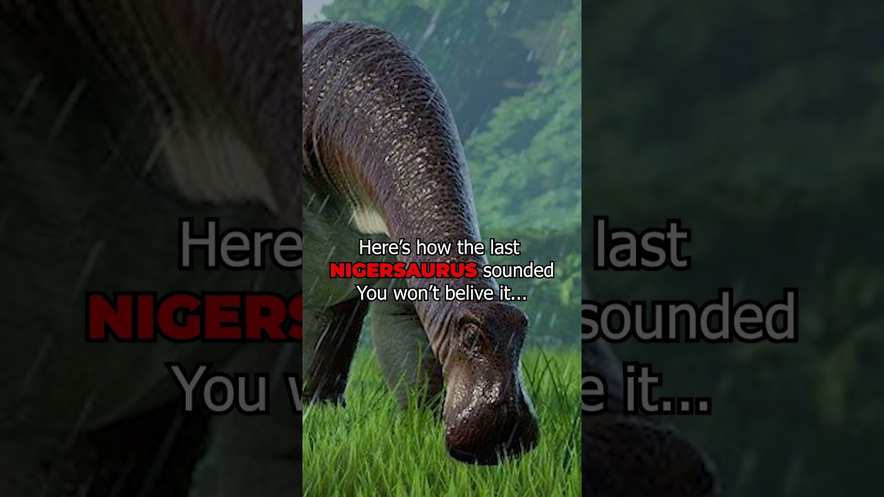 Here’s how the last Nigersaurus sounded...  #facts #dinosaur #facts #ytshorts #edit #black