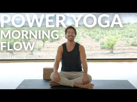 Full Body Flow | Dynamic Power 40 min Yoga Practice | Yoga With Tim
