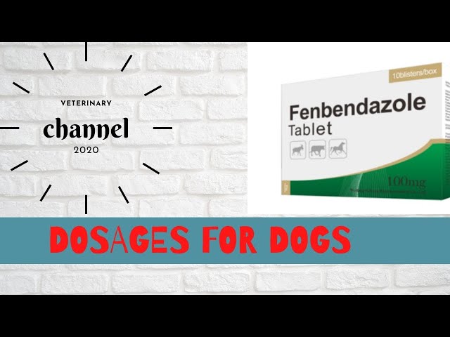 Veterinary Products - Kiwof Hart Tablets (Medium Size Dogs) Service ...
