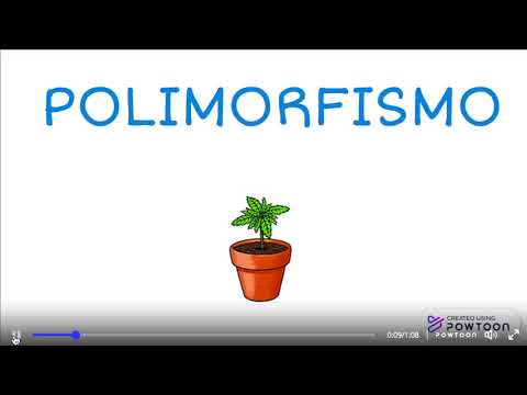 TOMi.digital - PILARES DE LA PROGRAMACIÓN ORIENTADA A OBJETOS II